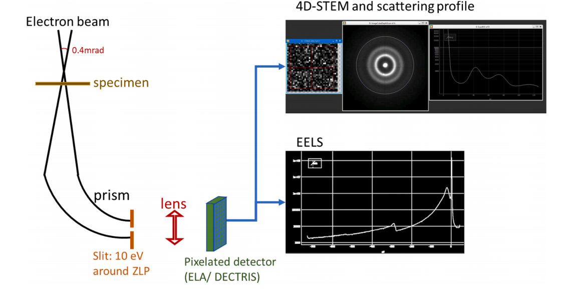 4D-STEM与EELS技术：非晶材料原子截面定量分析指南-材料测试-科学指南针